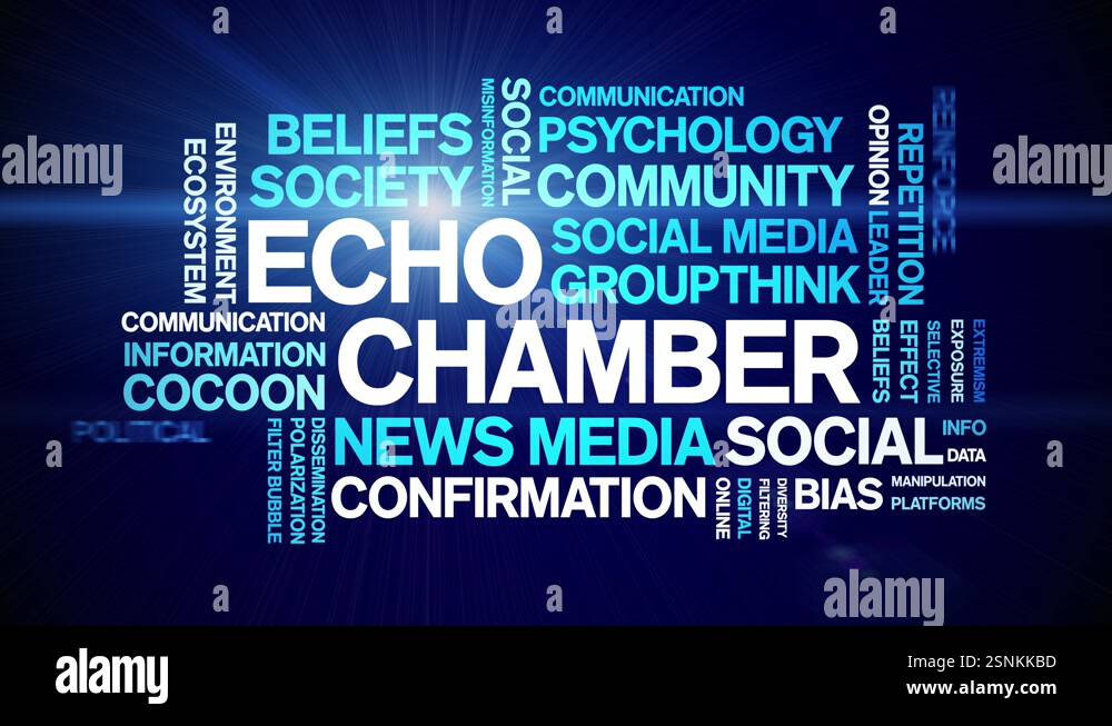 Echo Chamber animated word cloud,animation tag kinetic typography ...