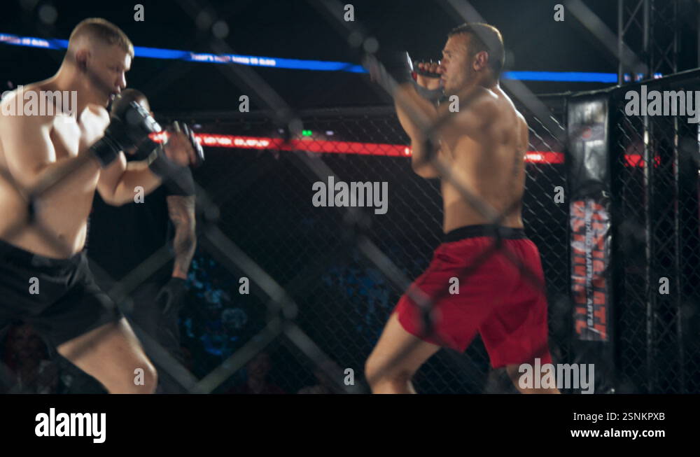 MMA Fighters Battle in Octagon Stock Video Footage - Alamy