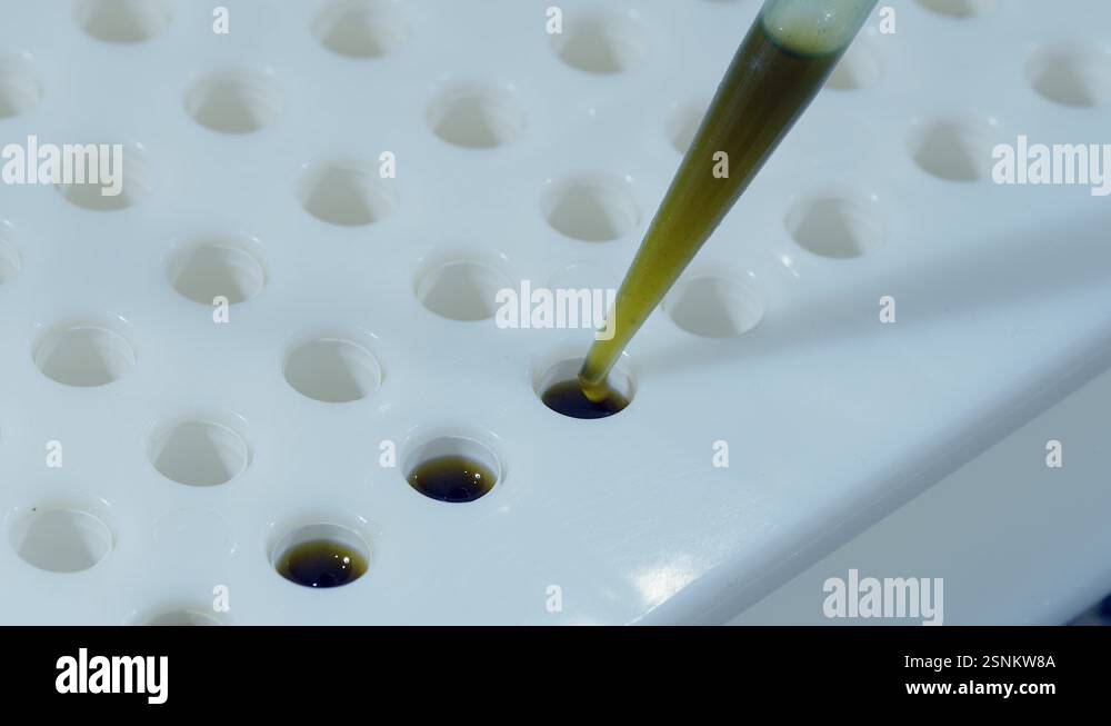 Measured dose pipette used to put medical solution into capsule pill ...
