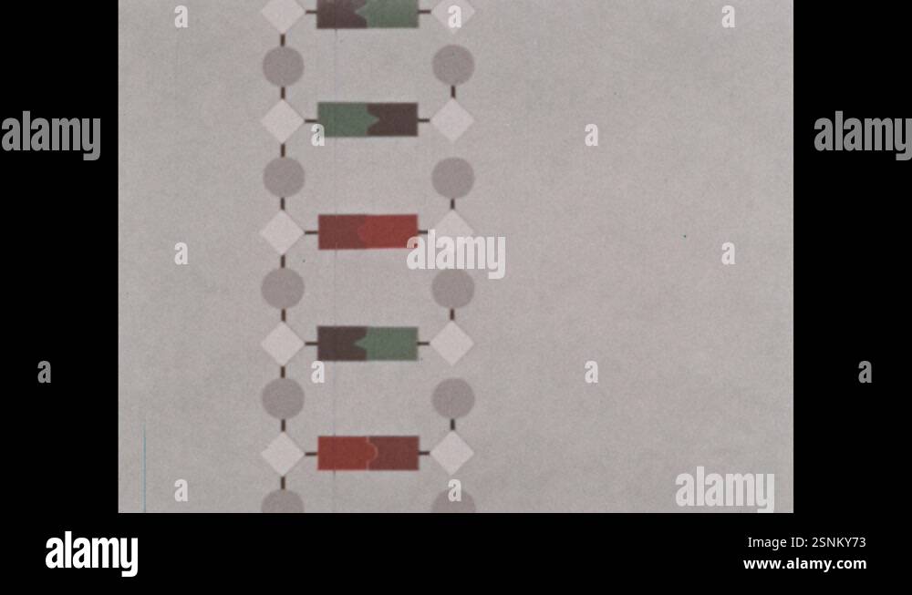 1960s: One side of ladder construction of DNA, other parts float in and ...