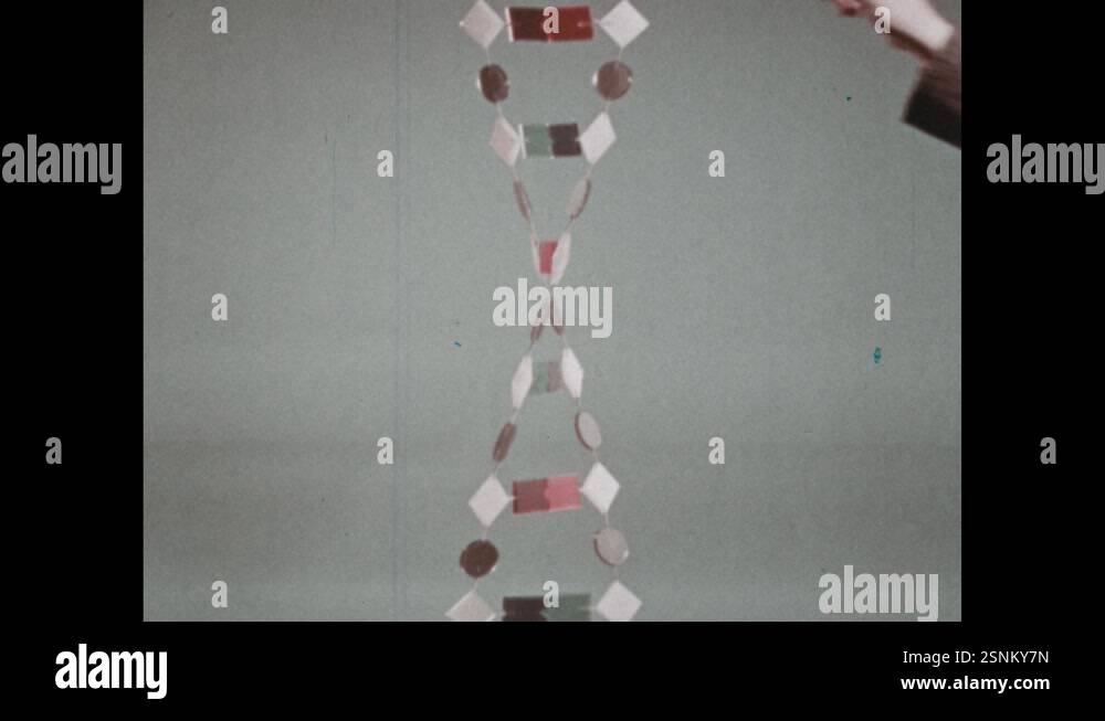 1960s: Ladder model of DNA nucleotides, model is twisted into helix ...
