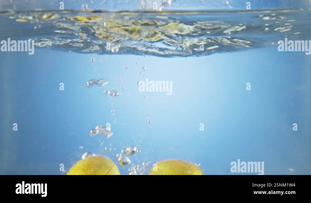 Kiwis falling into a water tank and making bubbles Stock Video Footage ...