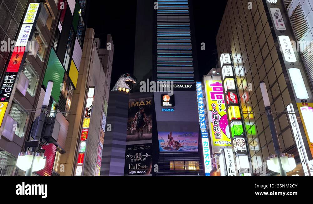 Vibrant Neon Lit Nightlife of Shinjuku Tokyo with Bustling Energy and ...