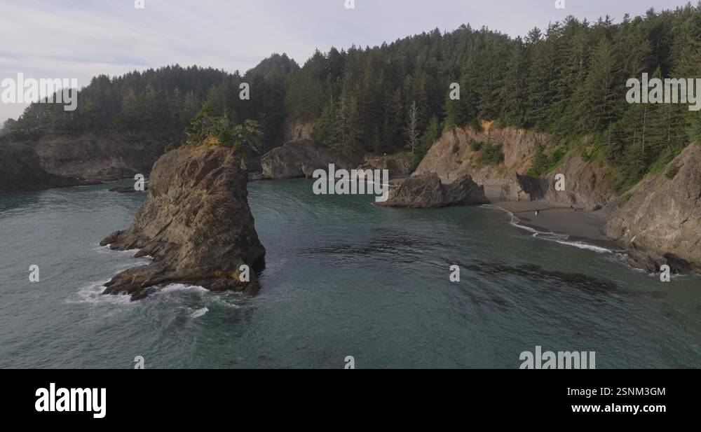 Rugged pacific coastline with evergreen trees Stock Videos & Footage ...