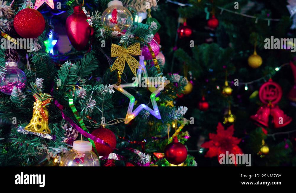 Star branches Stock Videos & Footage - HD and 4K Video Clips - Alamy