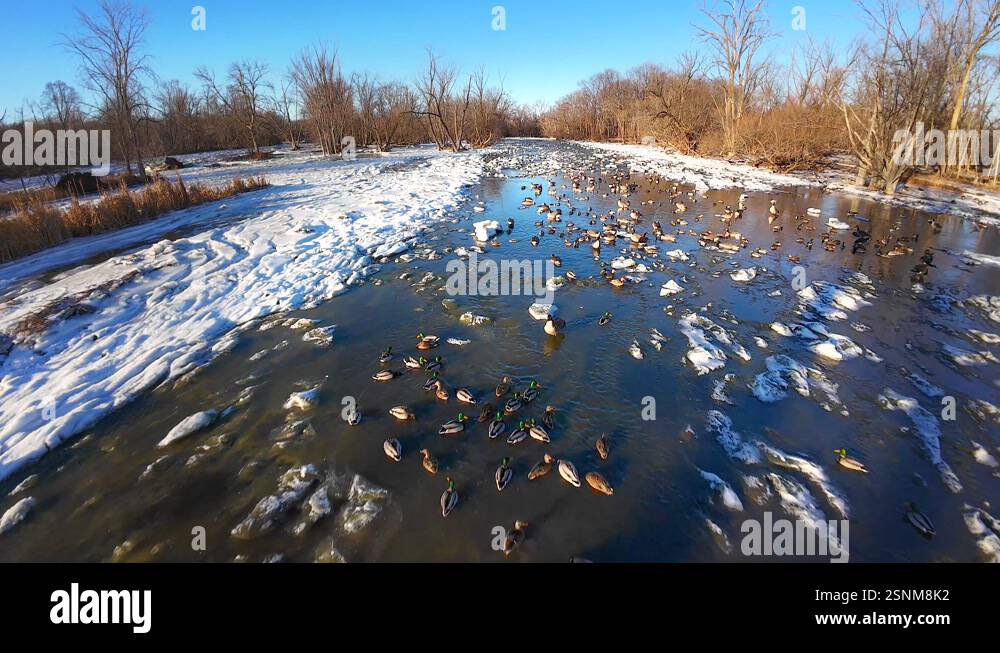 Dont fly Stock Videos & Footage - HD and 4K Video Clips - Alamy