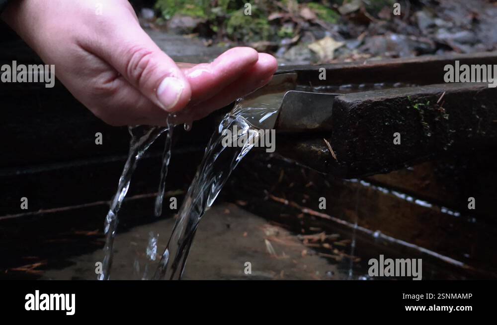 Discovering pure water flowing from a rustic spring in the forest Stock ...