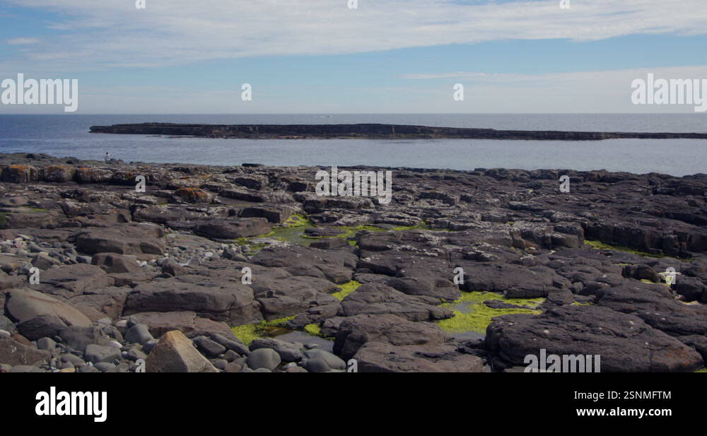 wide shot looking over Craster exposed rocks at low tide with Muckle ...