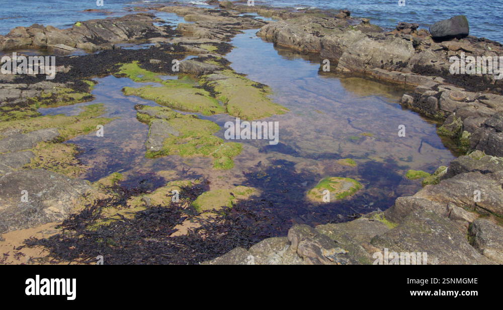 Sedimentary rocks rock Stock Videos & Footage - HD and 4K Video Clips ...