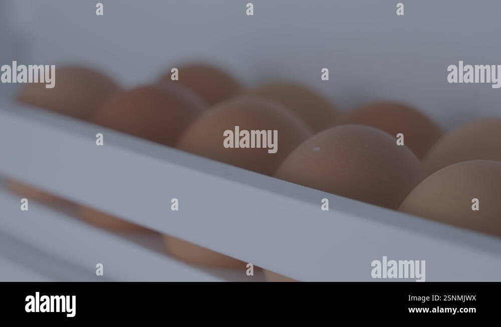 Eggs stored in plastic compartment in refrigerator in kitchen premise ...