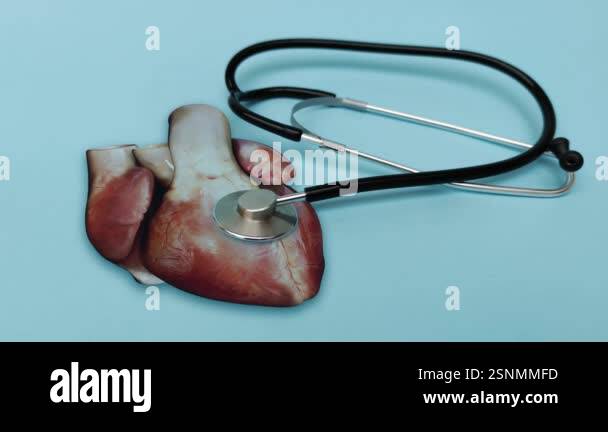 A healthy heart beats rhythmically. animation on a blue background, 3d ...