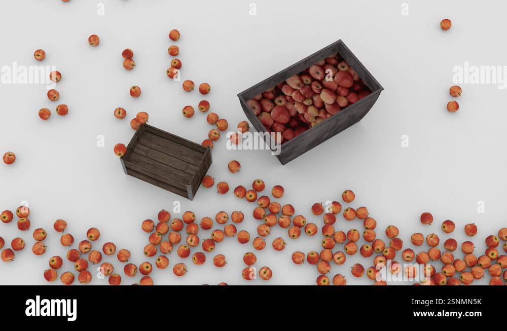 Art crates Stock Videos & Footage - HD and 4K Video Clips - Alamy