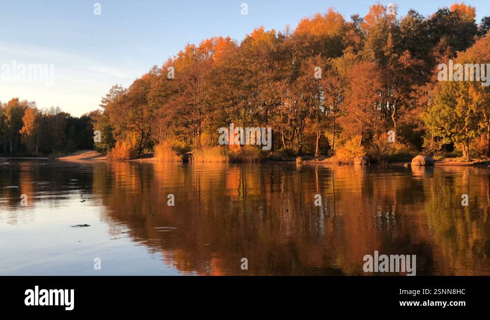 bright yellow autumn landscape by the river Stock Video Footage - Alamy