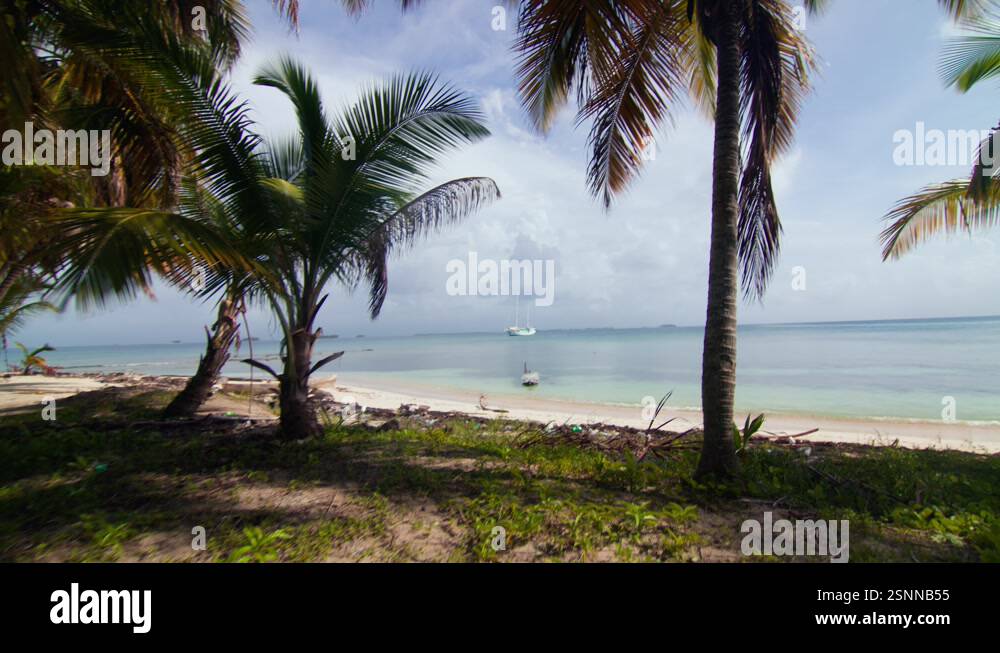 Push Through Palm Trees in Remote Tropical Island of San Blas Stock ...
