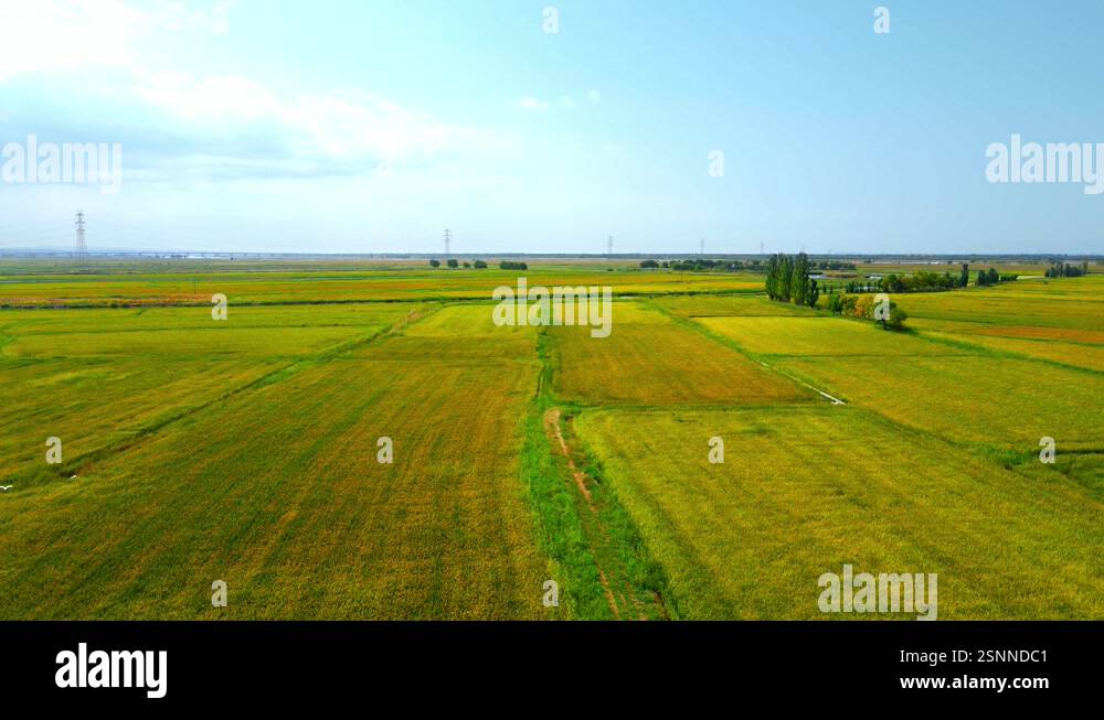 Aerial view of rivers, fields, and plains in autumn Stock Video Footage ...