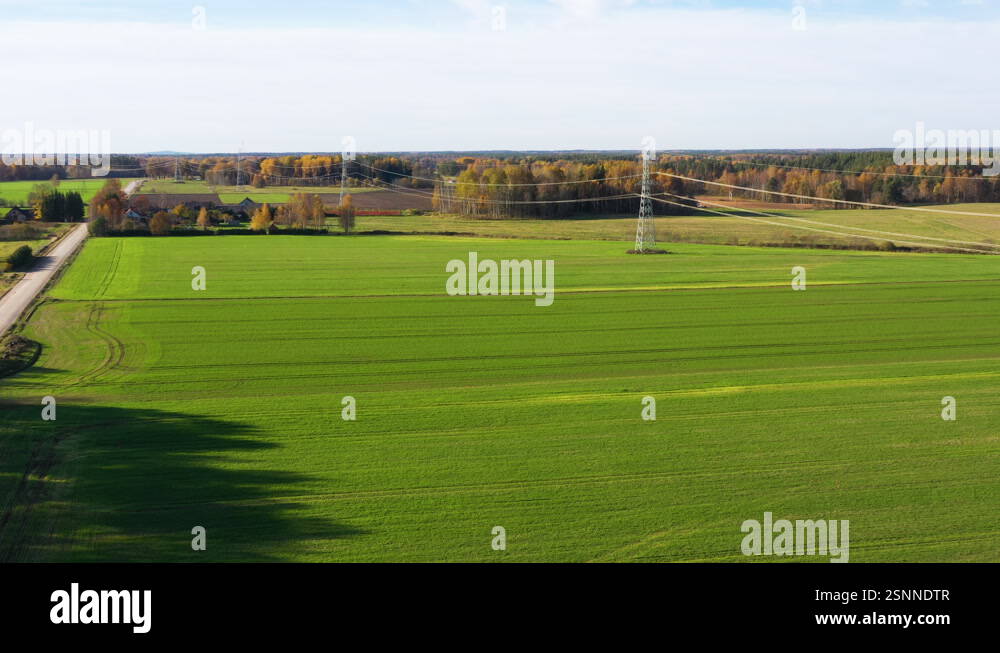 Power lines on a open farming field in aerial view during sunny autumn ...