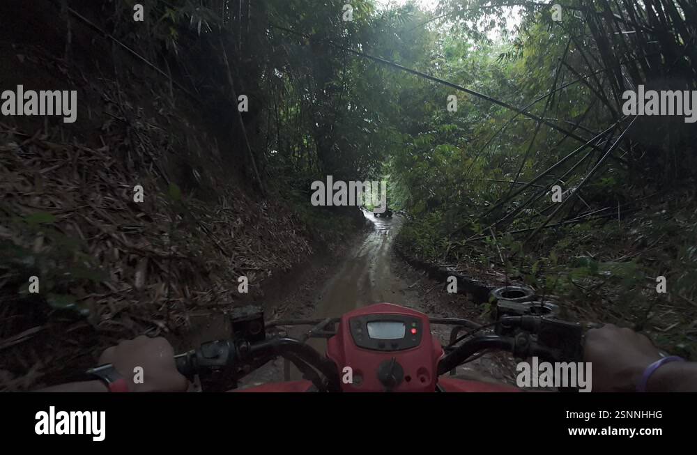 ATV Quadbike Ride In Deep Jungle In Ubud Bali On A Rainy Day Stock ...