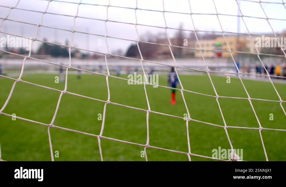 A professional soccer field can be seen through a goal net, while ...