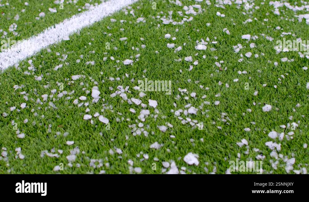 white lumps of ice lie on the green grass After a significant storm ...