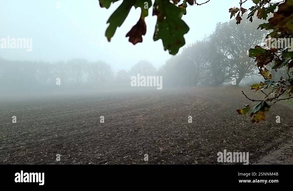 Legacy inheritance Stock Videos & Footage - HD and 4K Video Clips - Alamy