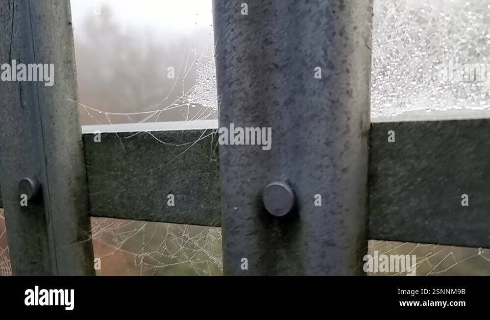 Spider web on an old galvanized steel security fence close up dolly ...