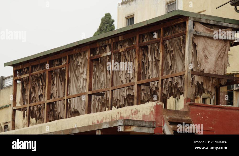 Animal Hides Hanging Up To Dry To Produce Leather At Chouara Tannery In ...