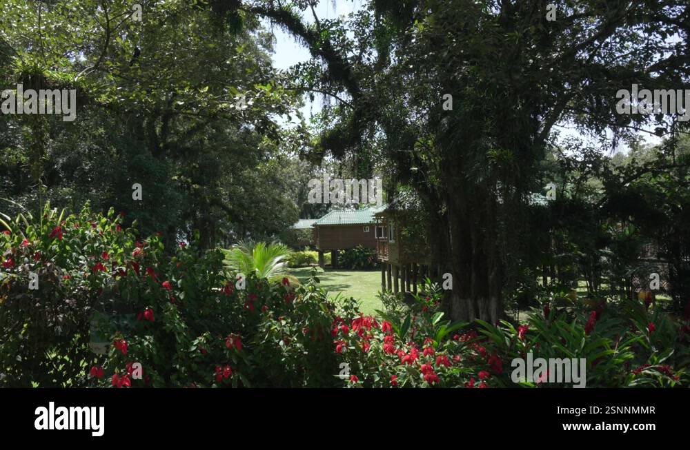 Lush garden with rustic wooden cabins in luxury resort. Lake Yojoa ...