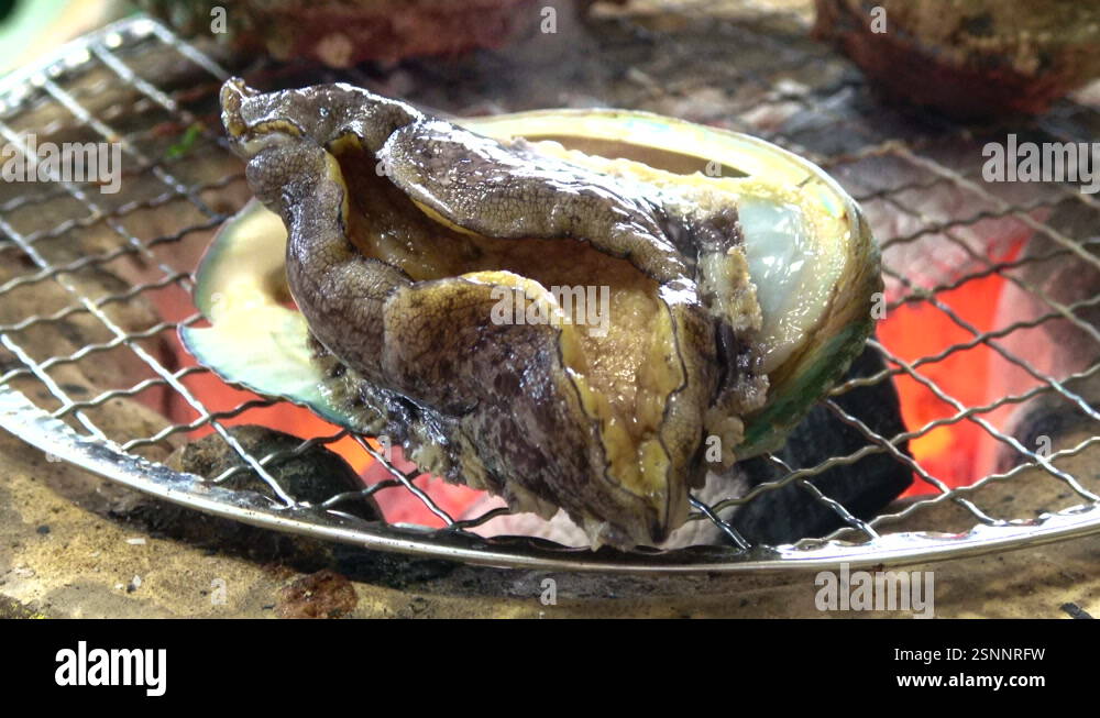 Closeup shot of the abalone being grilled over charcoal fire with ...