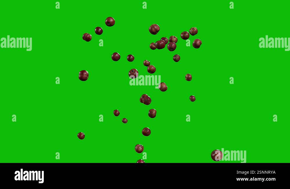 Red apples thrown up and falling on green screen 3D animation Stock ...