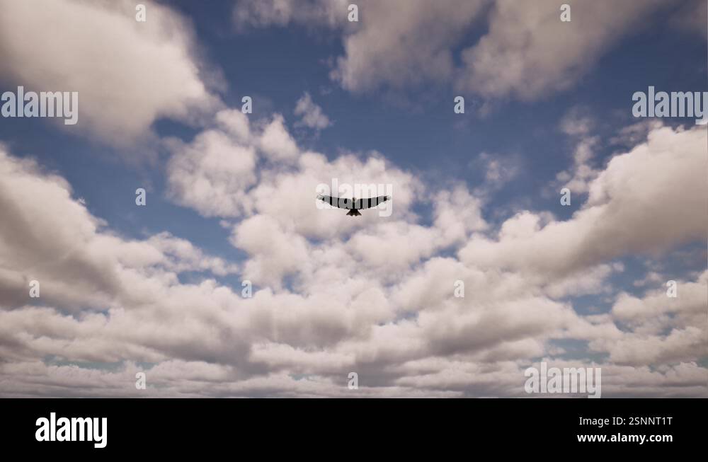 Eagle flying on day time with white puffy clouds moving 3D animation ...