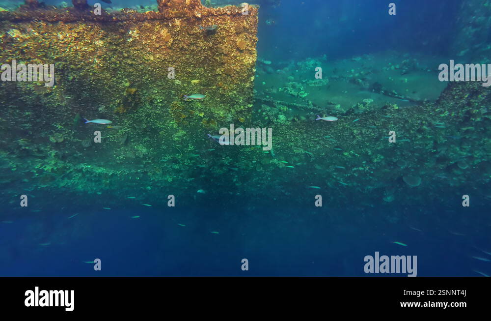 Front of the sunk shipwreck "Million Hope" full of corals, wildlife ...