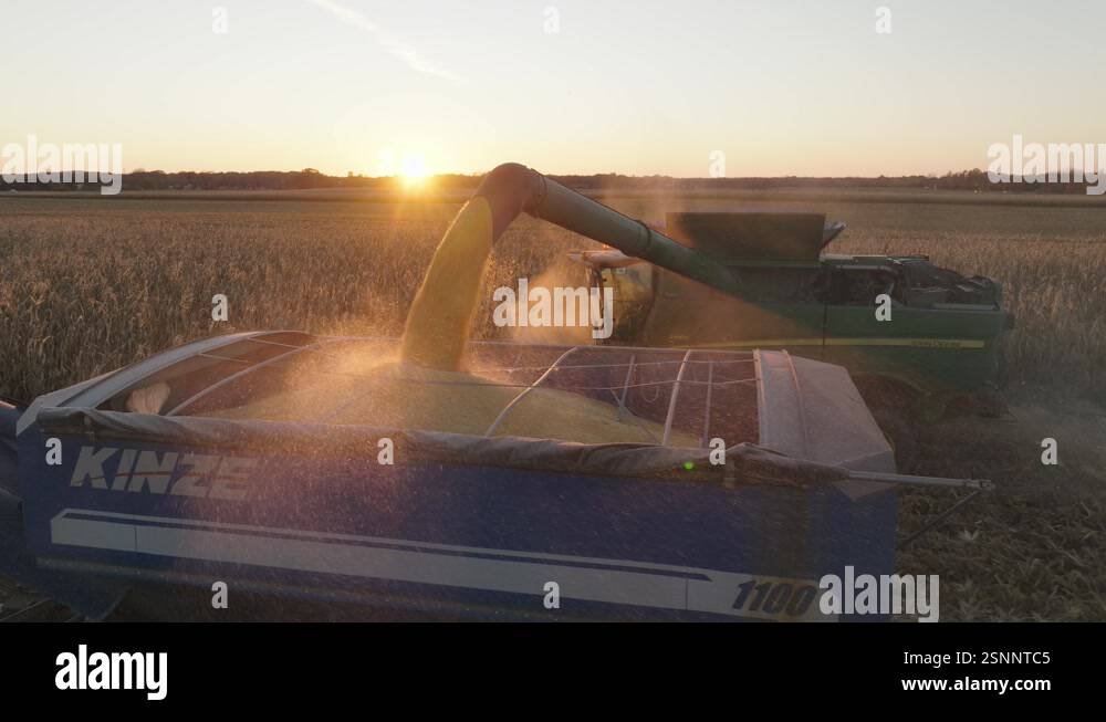 Combine unloading corn Stock Videos & Footage - HD and 4K Video Clips ...