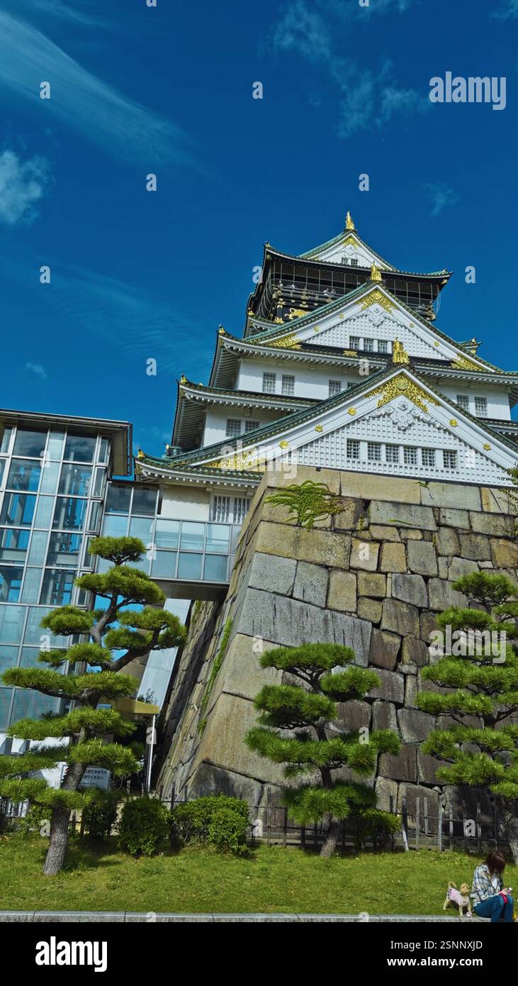 Vertical upward angle Stock Videos & Footage - HD and 4K Video Clips ...