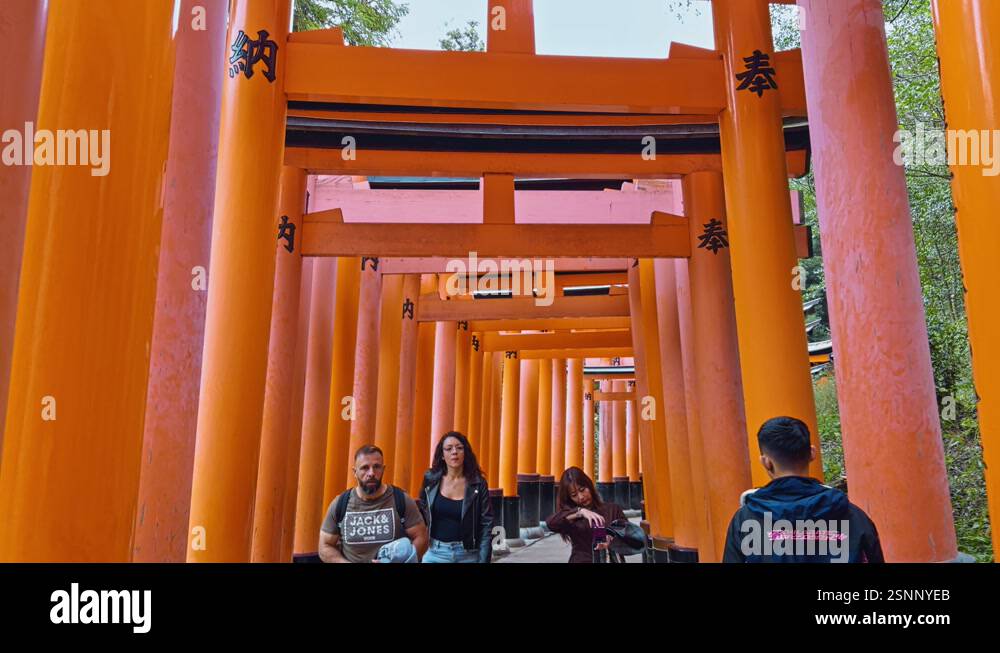 Fushimi Inari Shrine with Torii Gates and Scenic Lush Trees Stock Video ...