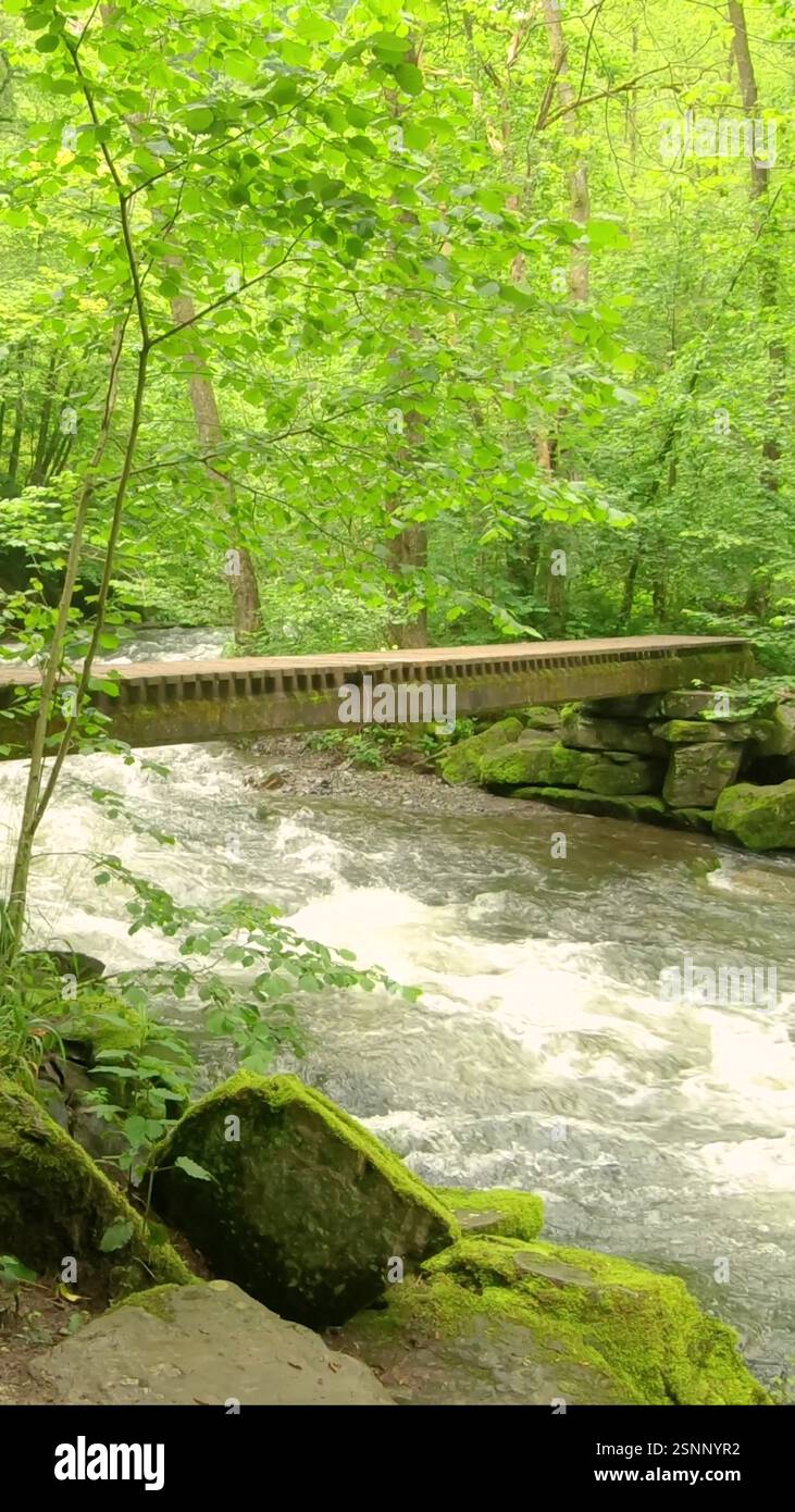 Rustic wooden bridge over turbulent waters of fast flowing river Stock ...