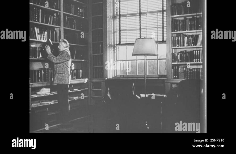 Albert_einstein Stock Videos & Footage - HD and 4K Video Clips - Alamy