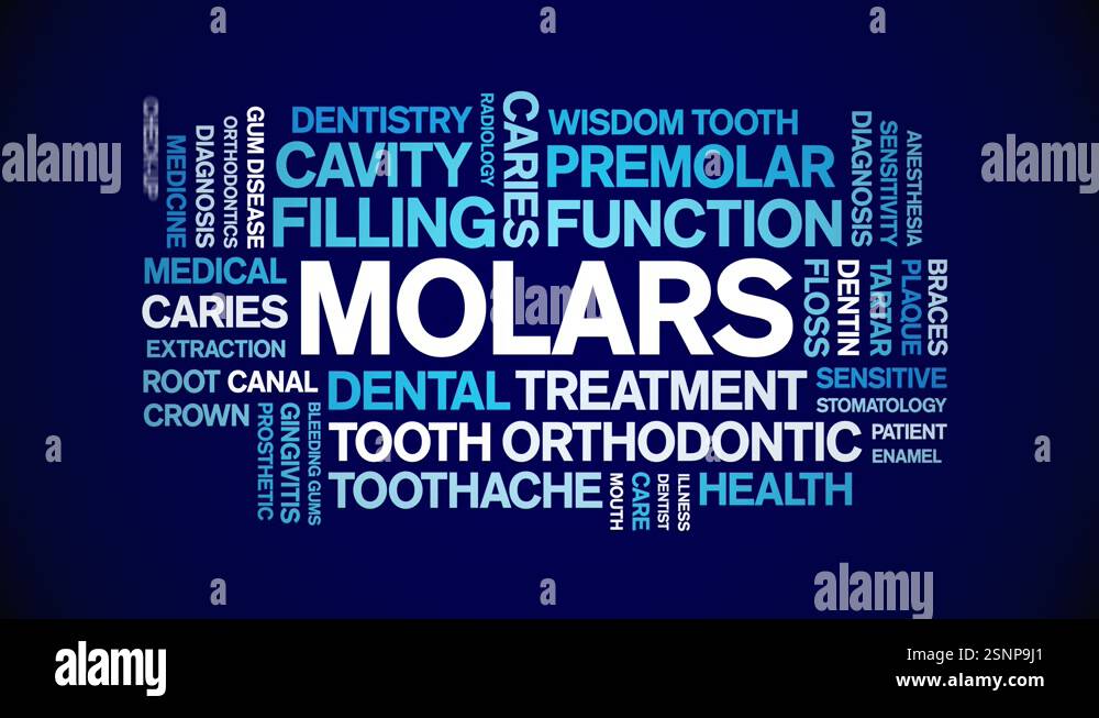 Molars animated word cloud,animation tag text kinetic typography ...