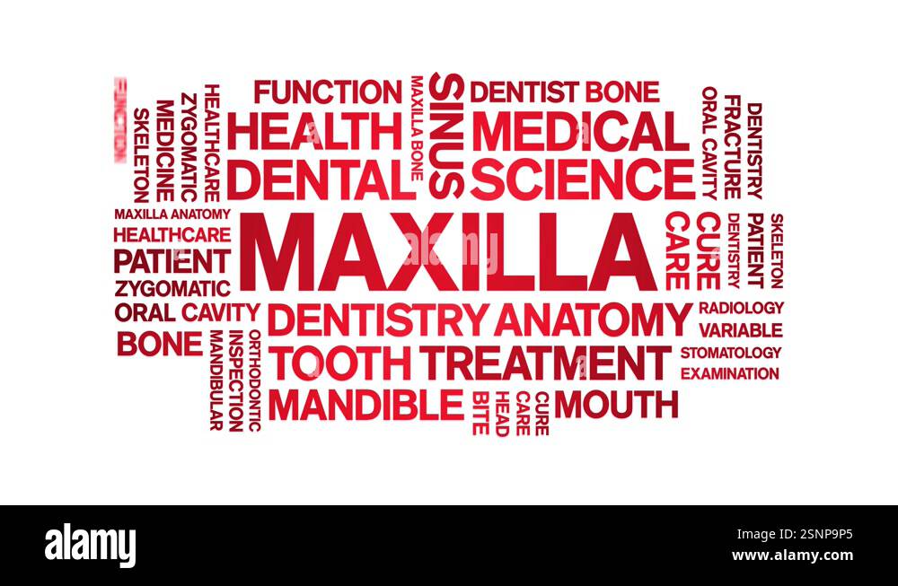 Maxilla animated word cloud,animation tag kinetic typography seamless ...