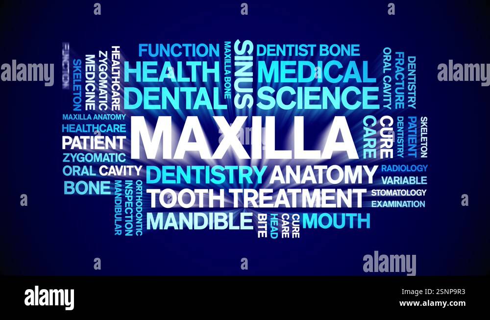 Maxilla animated word cloud,animation tag kinetic typography seamless ...