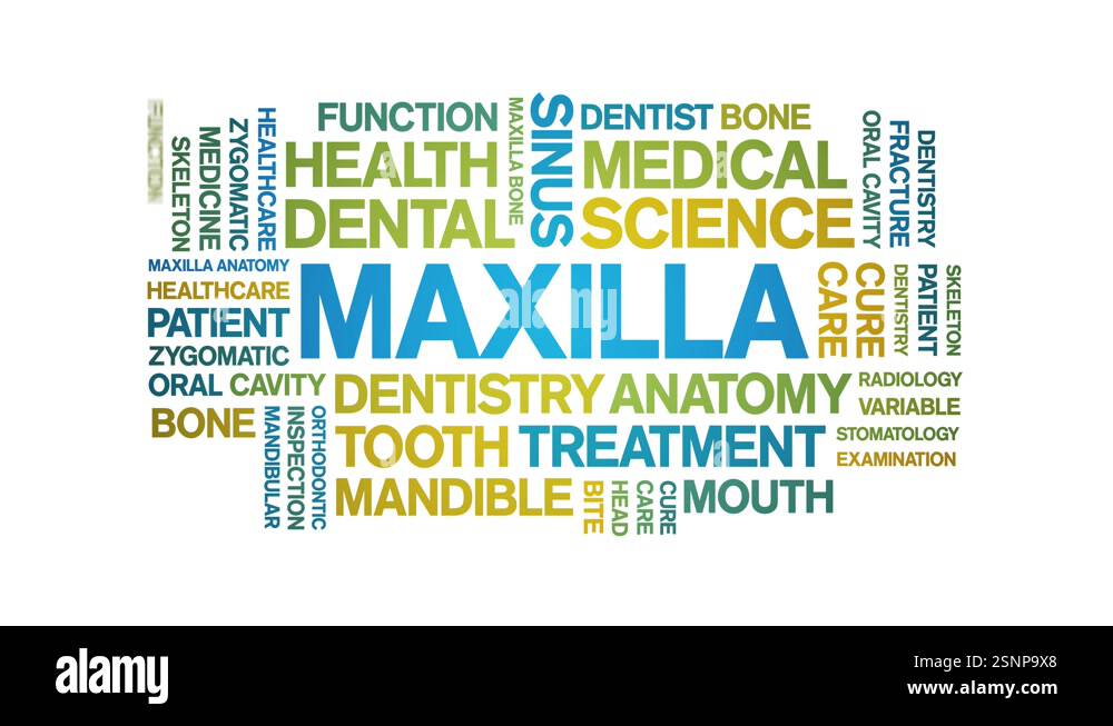 Maxilla animated word cloud,animation tag kinetic typography seamless ...