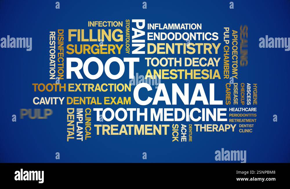 Root Canal animated word cloud,animation tag kinetic typography ...