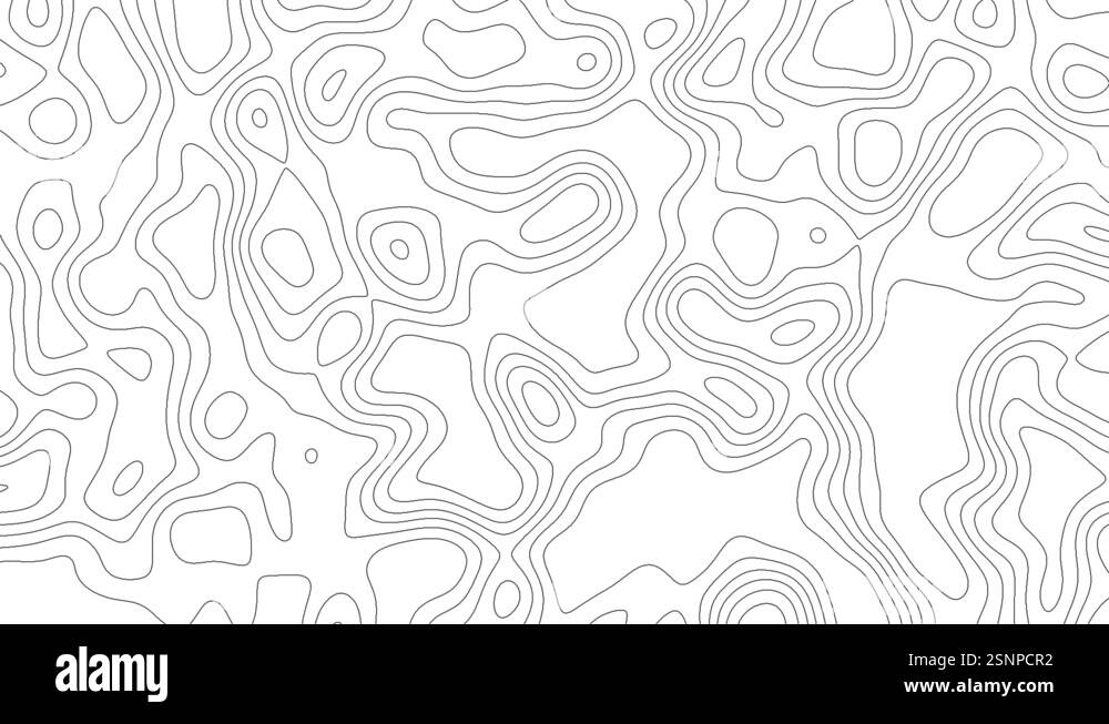 Abstract Topographic Lines Art: Monochrome Contour Map Design for ...
