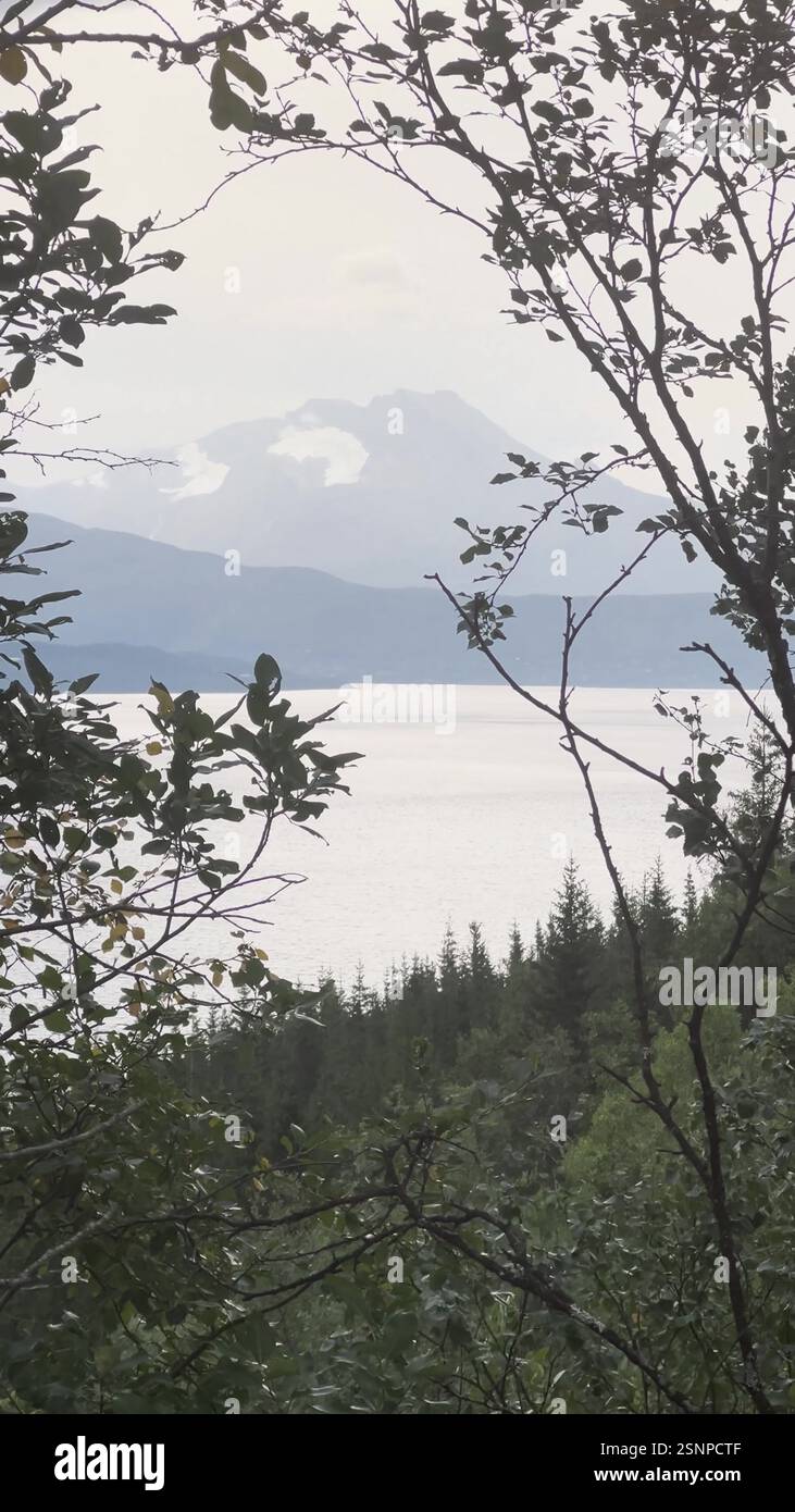 Wind moves tree branches framing a lake and mountains in the distance ...