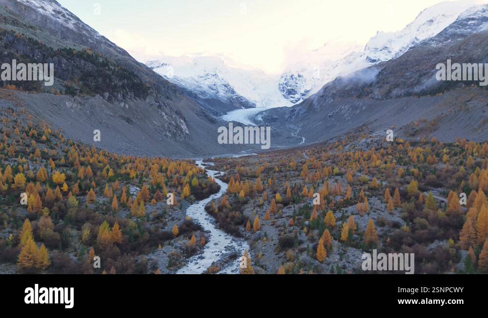 Morteratsch glacier melting into a stream, surrounded by colorful larch ...
