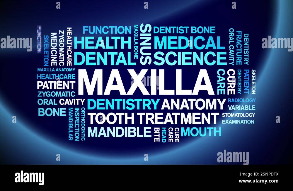 Maxilla animated word cloud,animation tag kinetic typography seamless ...
