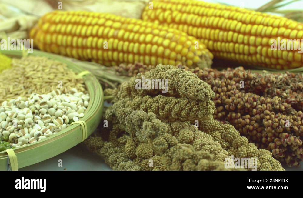 Whole grains/Cereals/Food/Coarse grains Stock Video Footage - Alamy