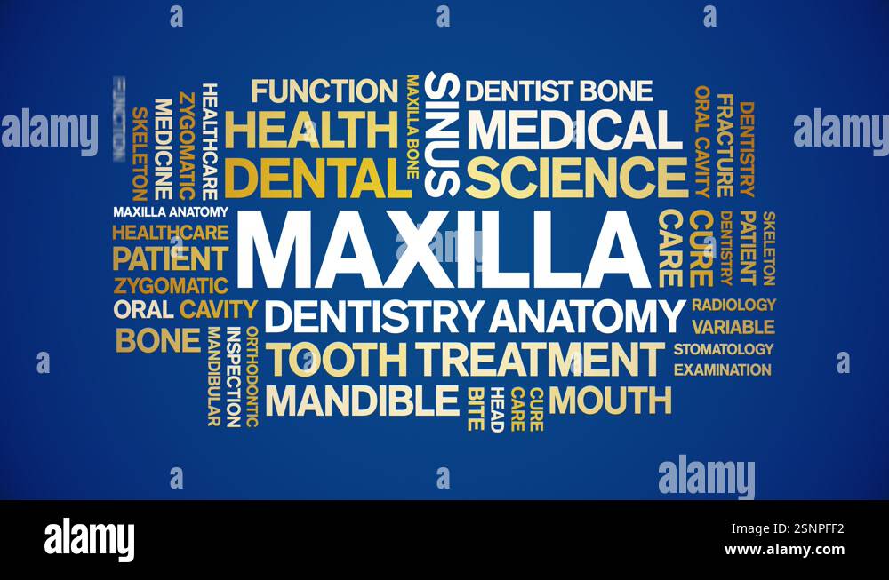 Maxilla animated word cloud,animation tag kinetic typography seamless ...