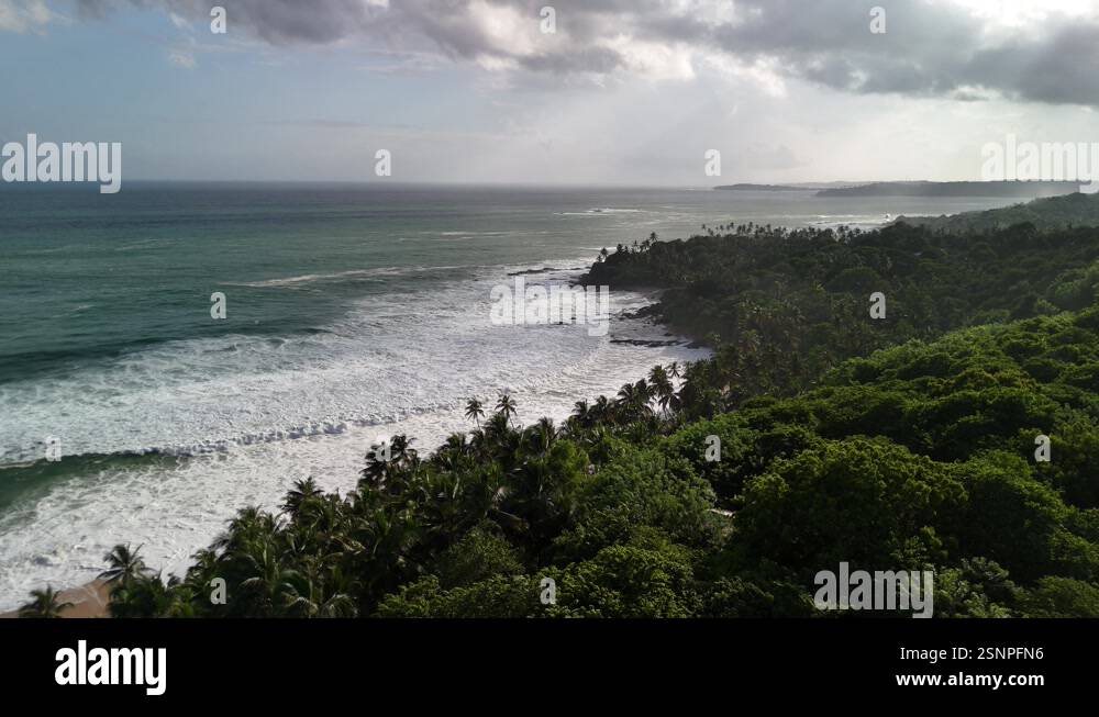 Indian Ocean South Asia coastline, tropical forest canopy, aerial Sri ...