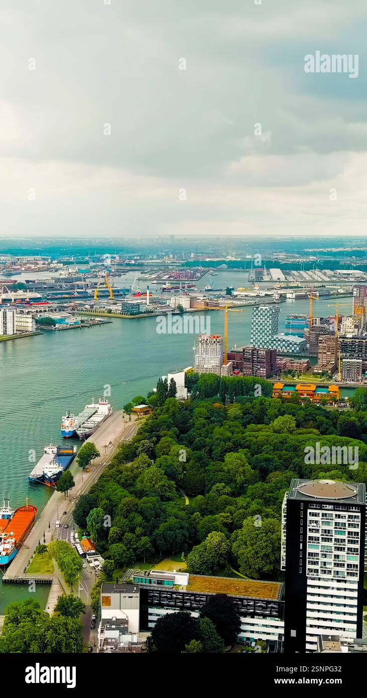 Vertical video. Rotterdam, Netherlands. View of the port. River Nieuwe ...