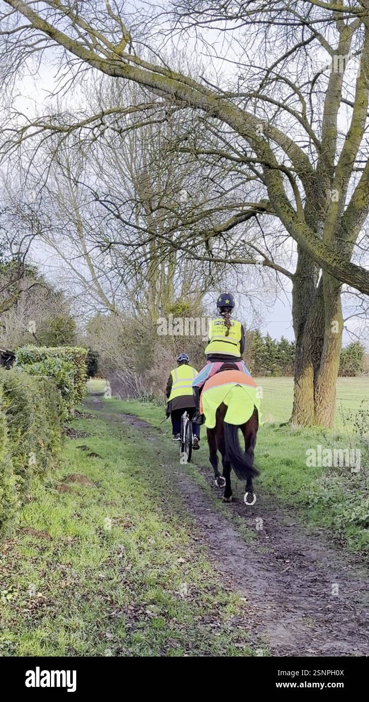 Vertical - A cyclist, horse and rider on a track on a country lane ...